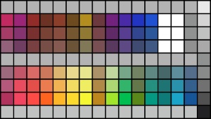 00-Camille's Colors